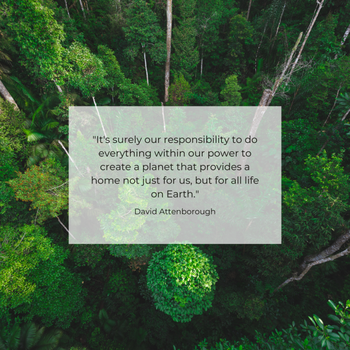 6 Ways to Lower Your Carbon Emissions Fast | Linky Innovation